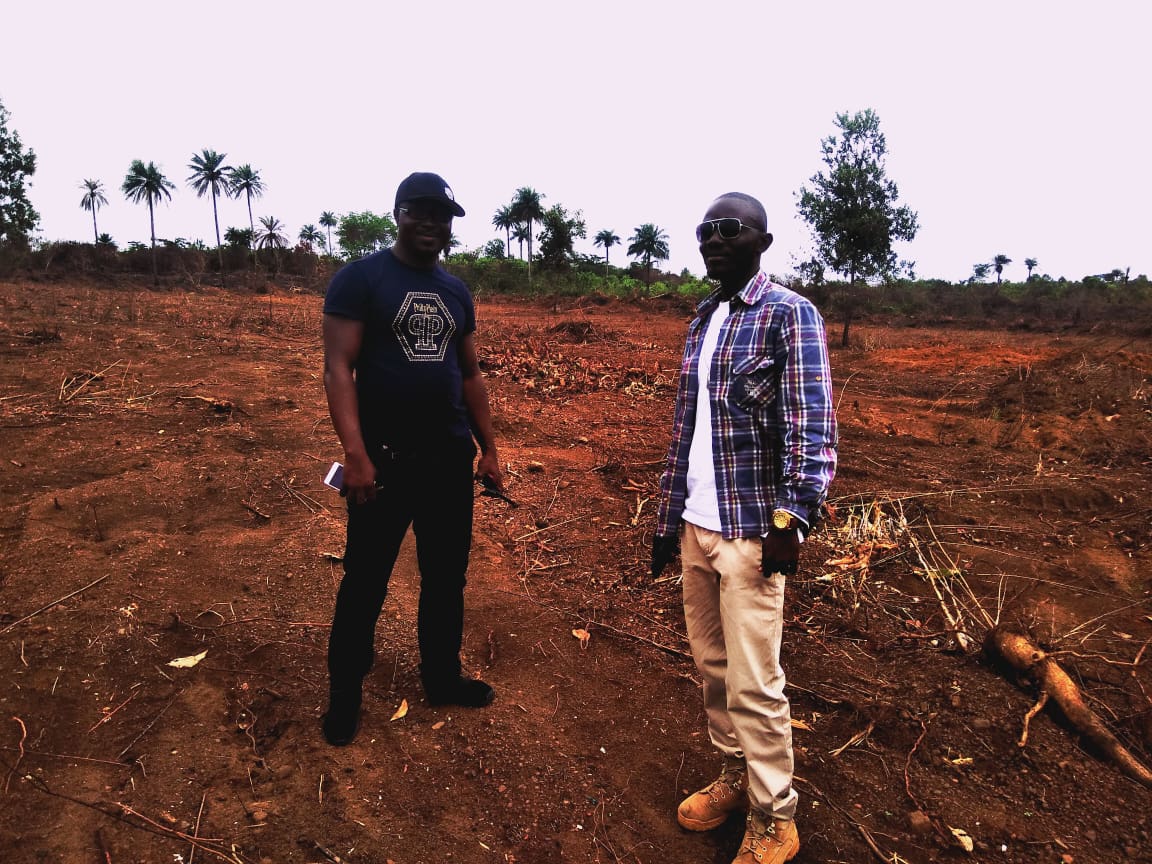Growing Tree Liberia – Helping Liberian Children Reach Their Full Potential